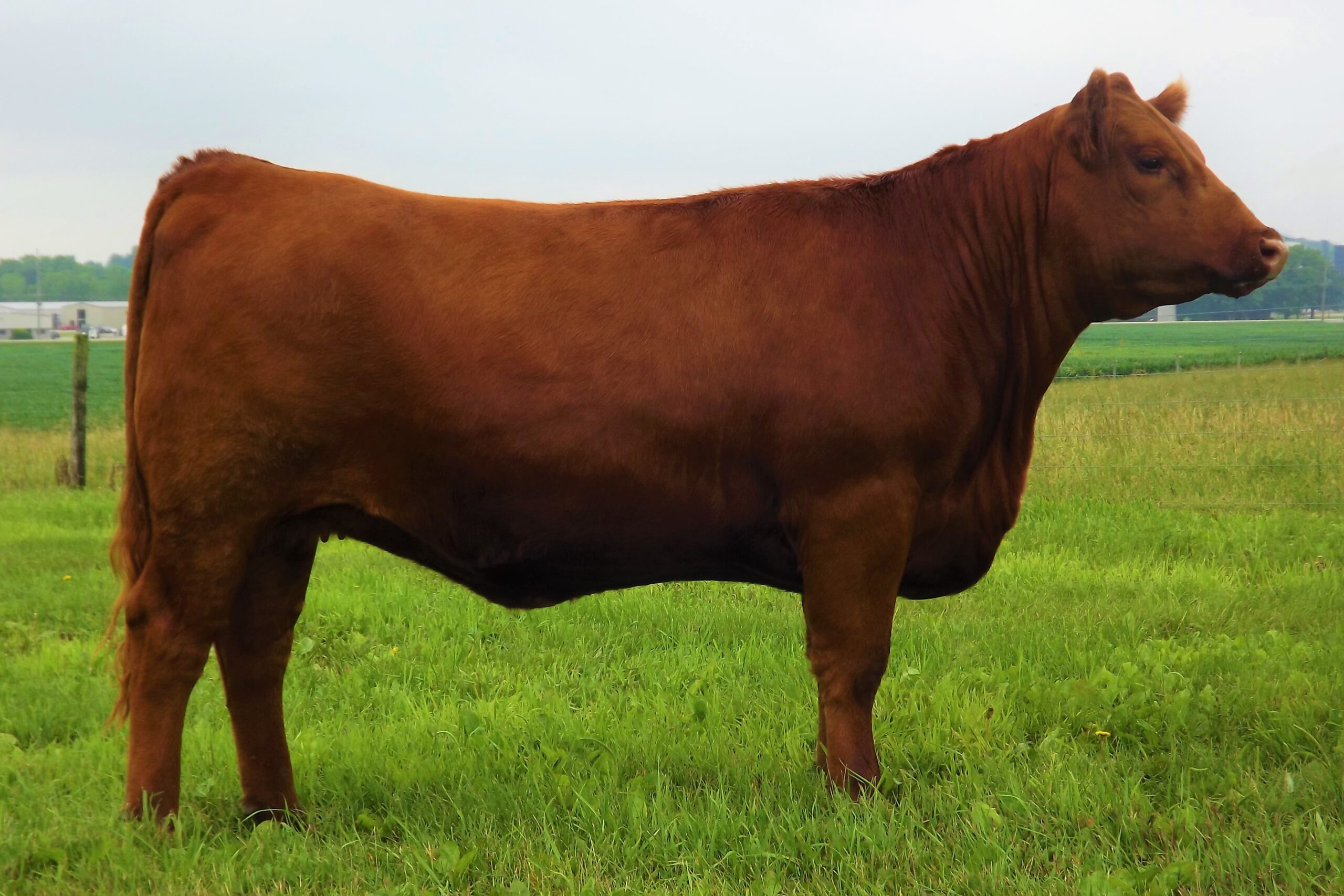 For Sale - Huston Farms